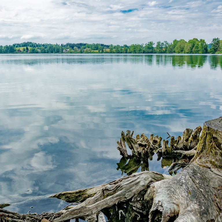 Soppensee (Soppisee)