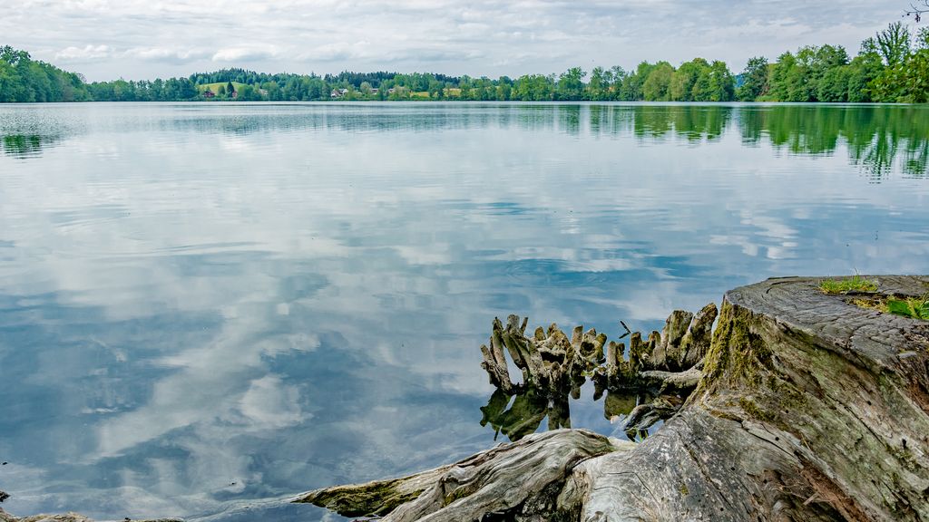 Soppensee (Soppisee)