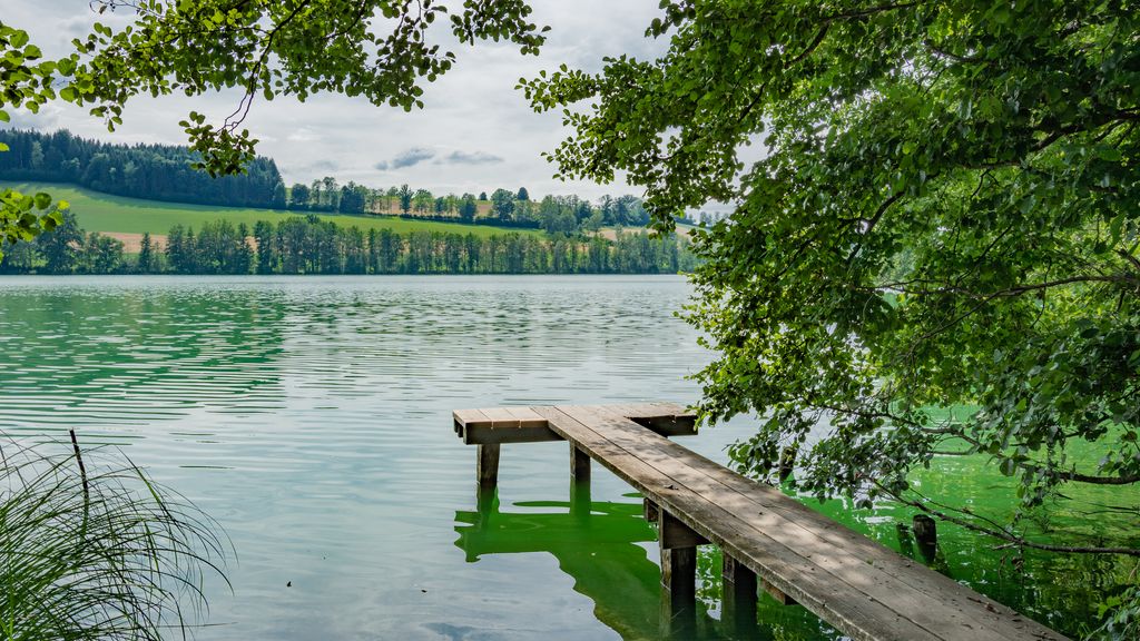 Soppensee (Soppisee)
